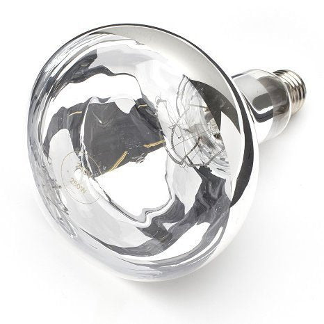 R125 Infrared Bulbs E27