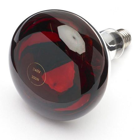 R125 Infrared Bulbs E27